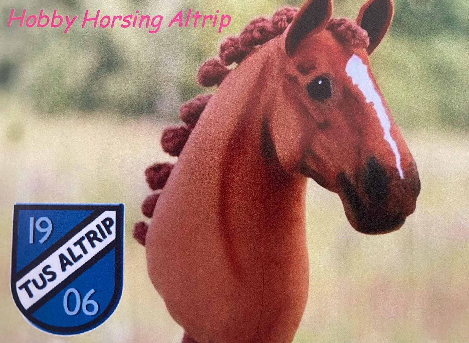 Hobby Horsing – TuS Altrip